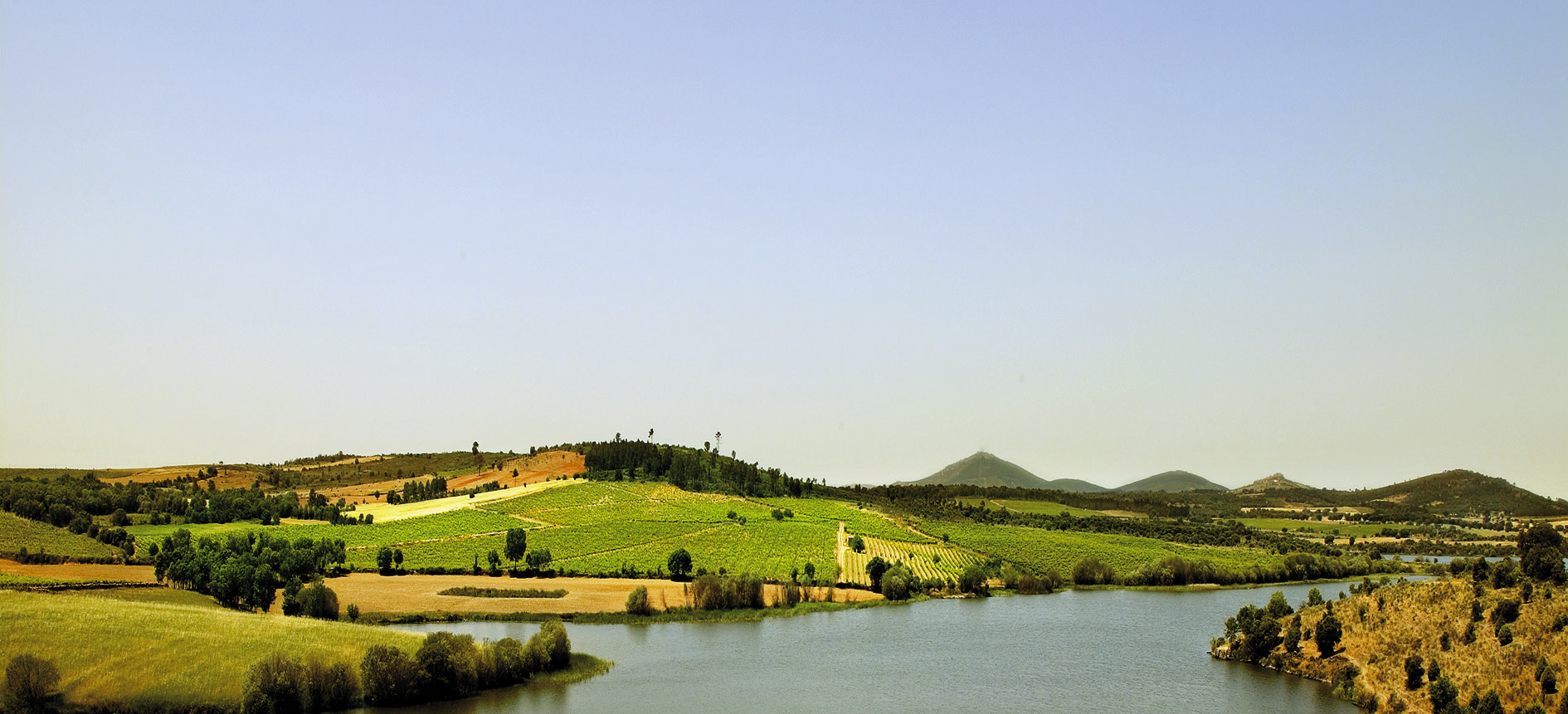 Vinhos da Beira Interior